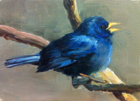 finch: we're back... with news!