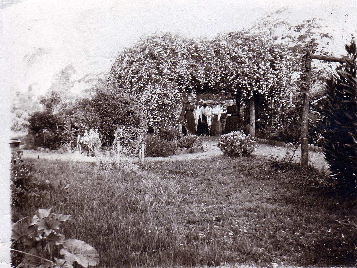 McClymont Manuka Family History Blog.: FAMILY GROUPS AT MANUKA