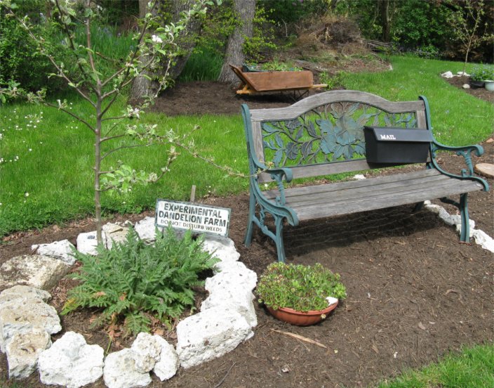 Really Random Garden: GTUF's urban garden tour