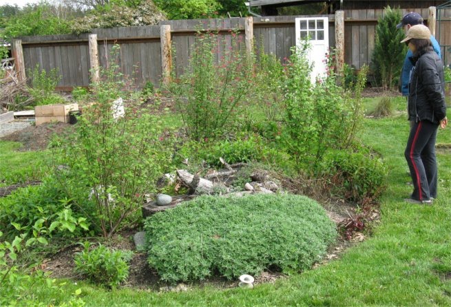 Really Random Garden: GTUF's urban garden tour