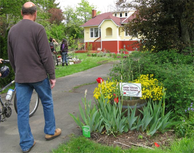 Really Random Garden: GTUF's urban garden tour