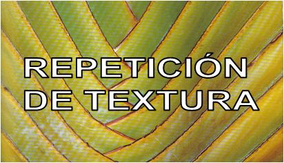 DISEÑO BÁSICO I: REPETICIÓN