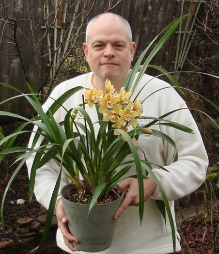 Daniel's Pacific NW Garden: Cymbidium in full bloom