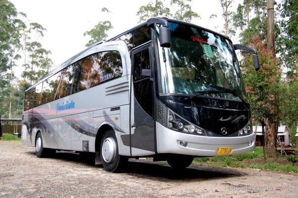 SEWA BUS PARIWISATA: Kerub Pariwisata