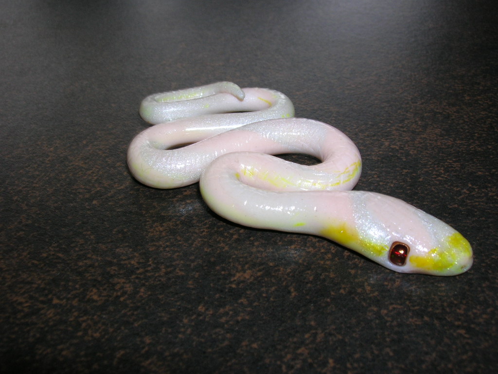 Angie's World: A Bubblegum Corn Snake