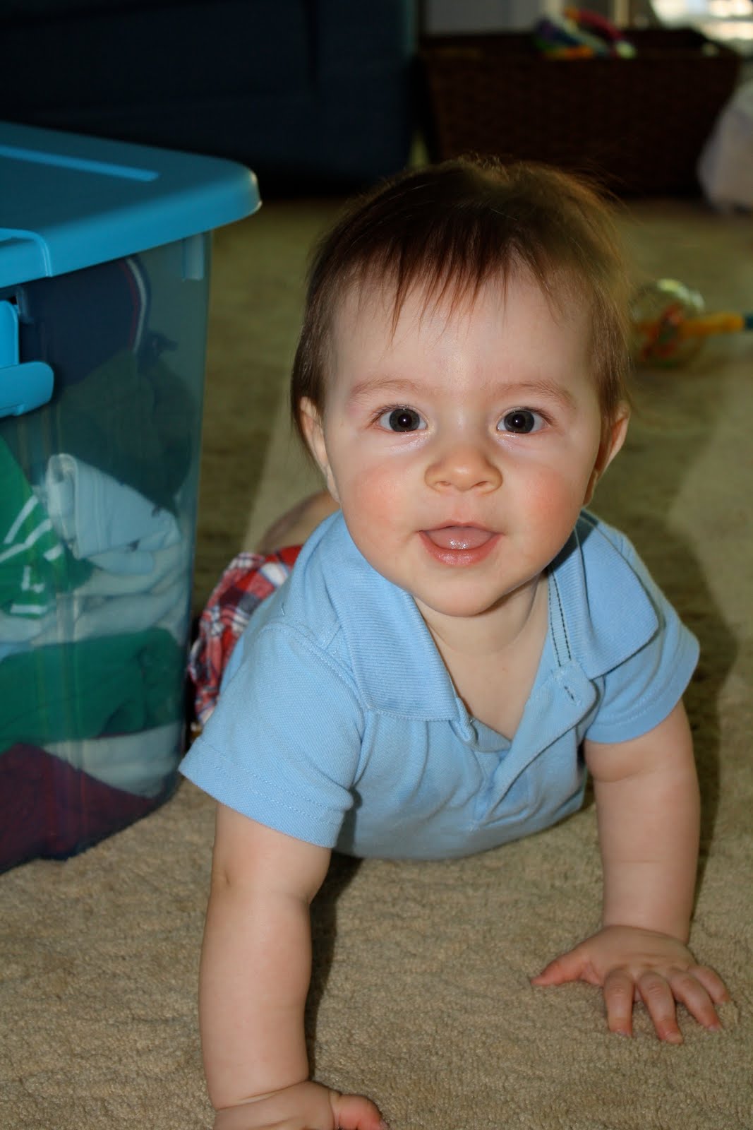 Chaotic Love: My Big, Little Boy...