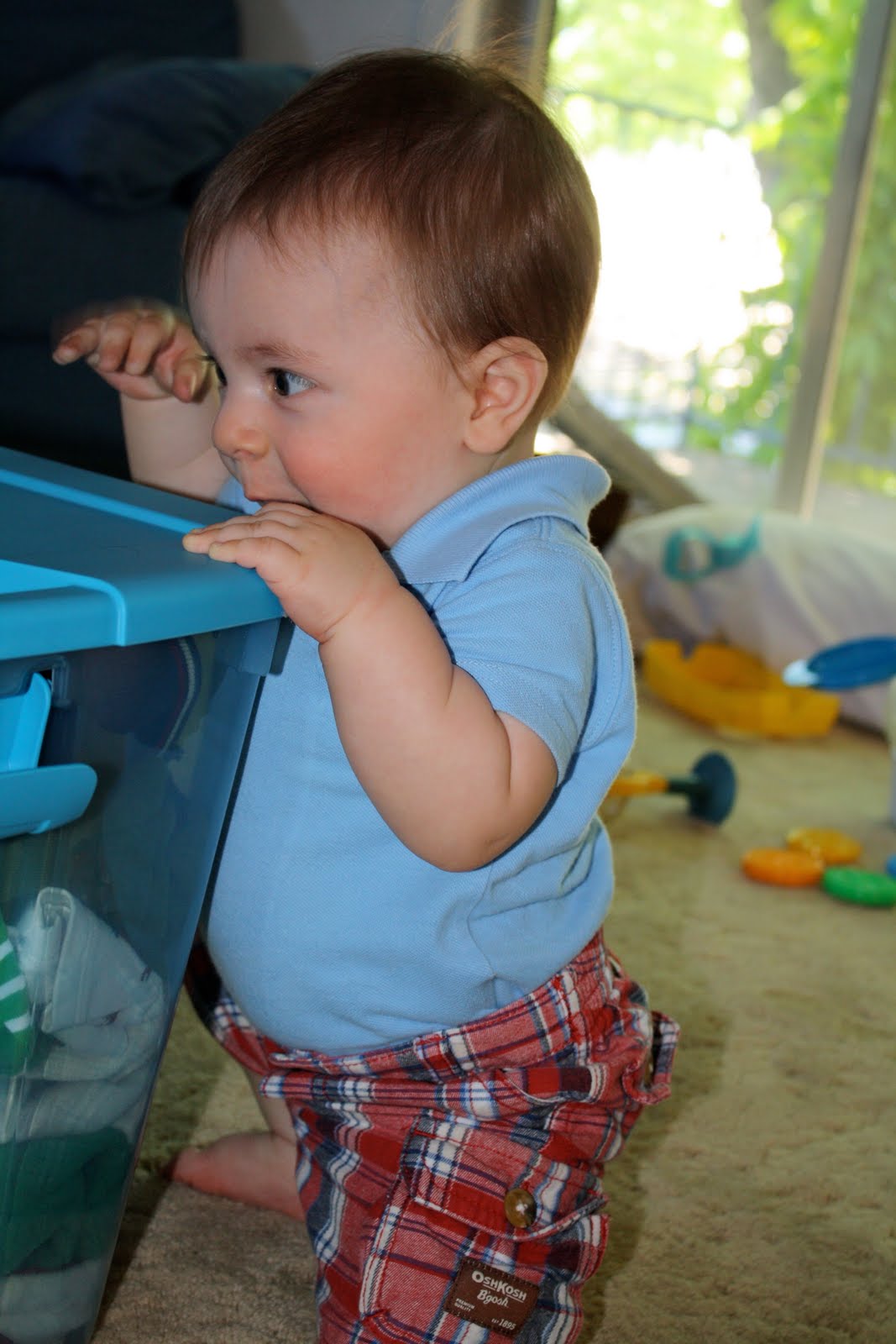 Chaotic Love: My Big, Little Boy...