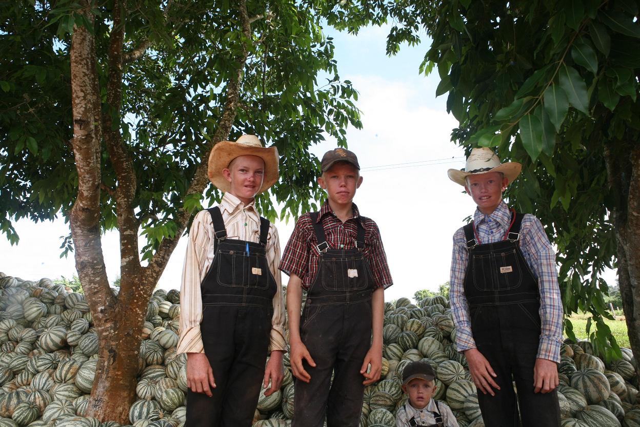 Yucatan: Los Menonitas de México