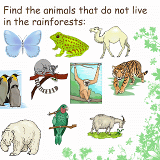 Nature and enviroment: Interesting activity about animals that don't ...