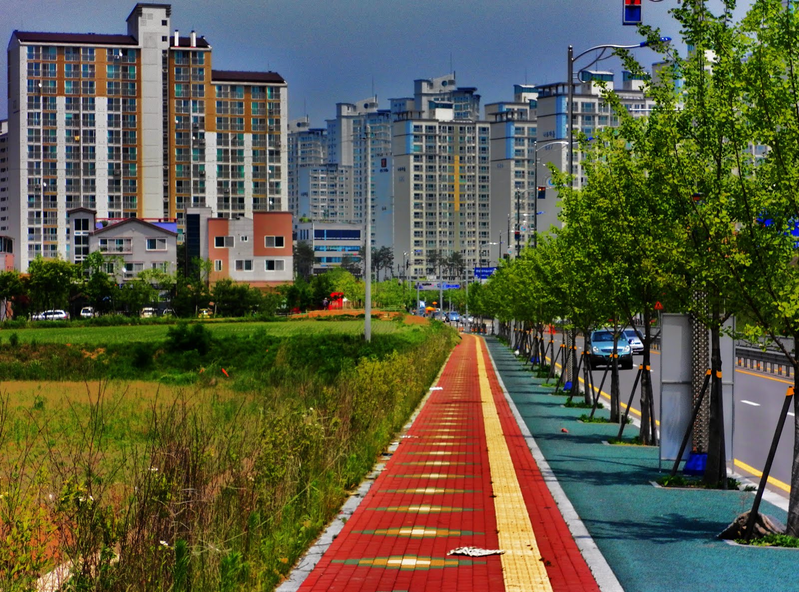 Katie's Life in Dongtan, South Korea: DONGTAN: My city in South Korea