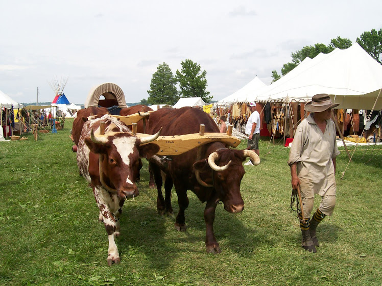 Adventures in History: The Single Ox