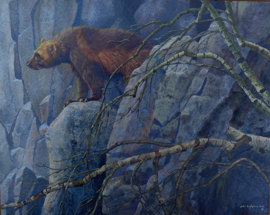 The Show and Tell Nature Blog: Back to Re-work