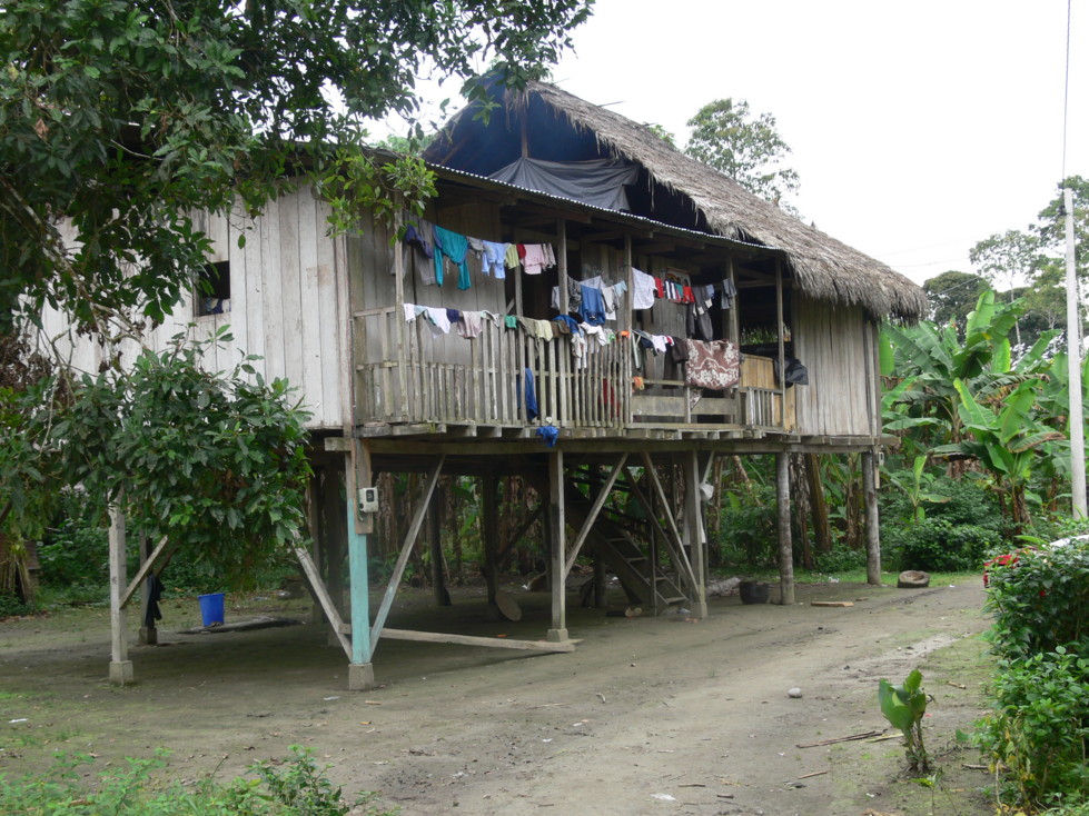 The Show and Tell Nature Blog: Life in the Amazon Basin
