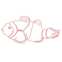 AF IMAGEDATA: 2d Sea species