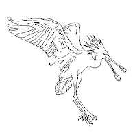 AF IMAGEDATA: 2d cad birds