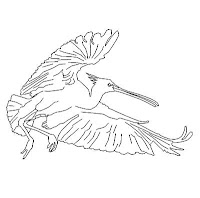 AF IMAGEDATA: 2d cad birds