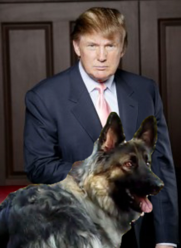 Cooper's Shiloh Shepherd Blog: Celebrity Moments -I ran into a few ...