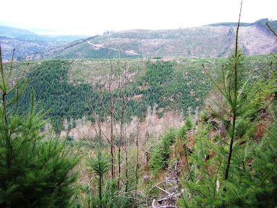 Reading the Washington Landscape: The Chuckanut Range and Silver Creek ...