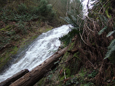 Reading the Washington Landscape: The Chuckanut Range and Silver Creek ...