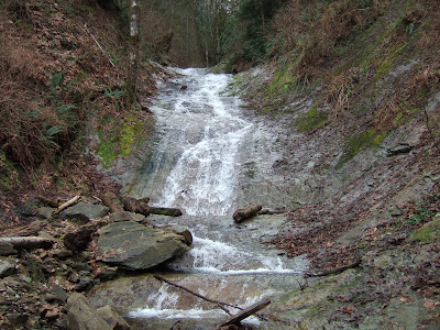 Reading the Washington Landscape: The Chuckanut Range and Silver Creek ...