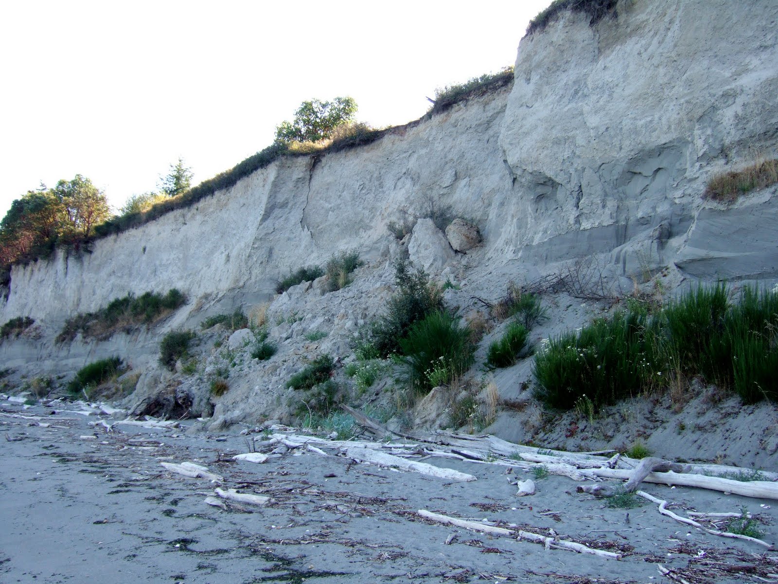 Reading the Washington Landscape: Marrowstone Island Geology Trip to ...