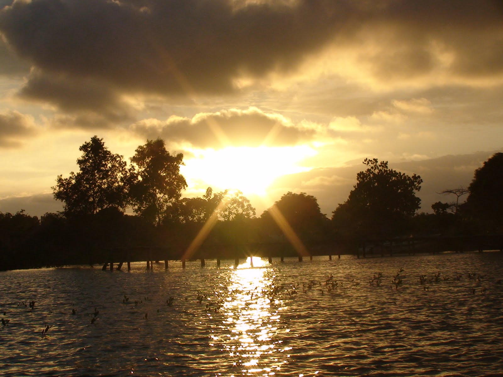 TUMACO UN PARAISO TURISTICO DE PUERTAS ABIERTAS EN EL LITORAL PACIFICO ...
