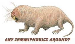 The Editorial: Phobias