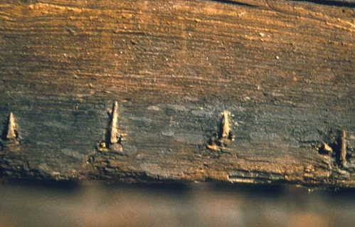 Words, words, words (and phrases): On tenterhooks