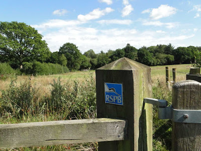 CJE in Exeter: Venn Ottery RSPB Reserve