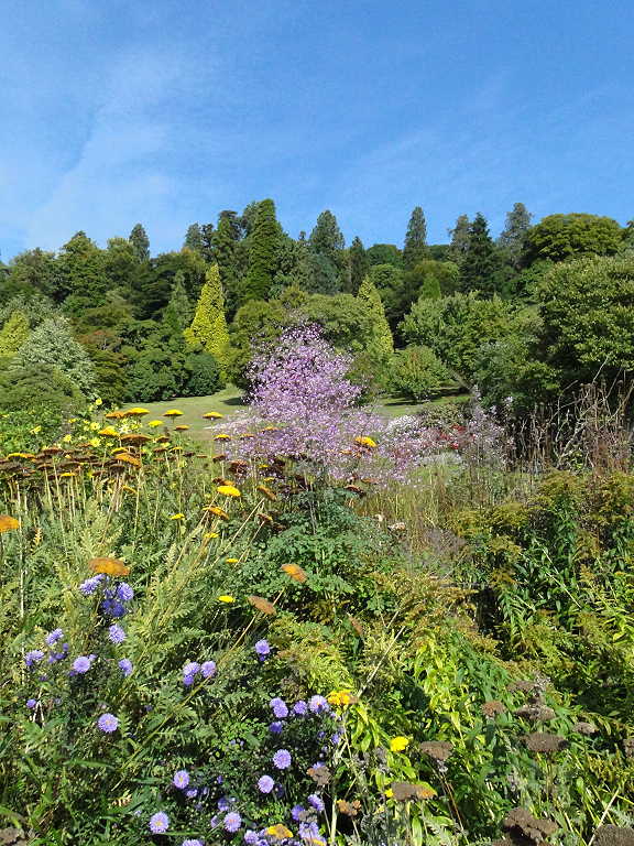 CJE in Exeter: Killerton House - Garden Terrace