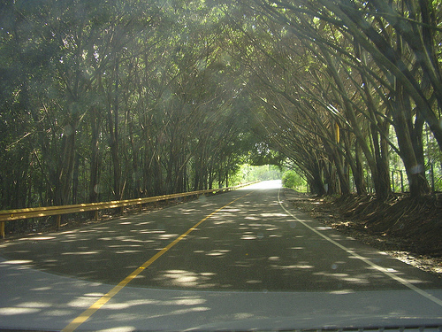 Dominicanosenitalia turismo: Jarabacoa