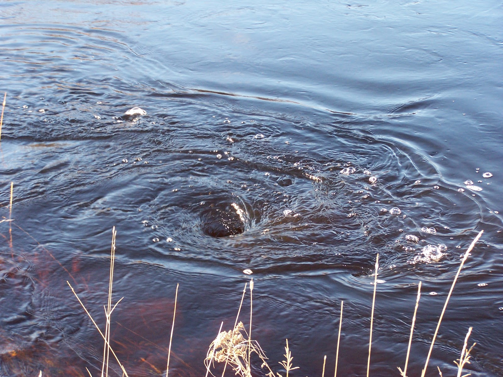 sand creek almanac: "an extratropical cyclone of rare intensity"
