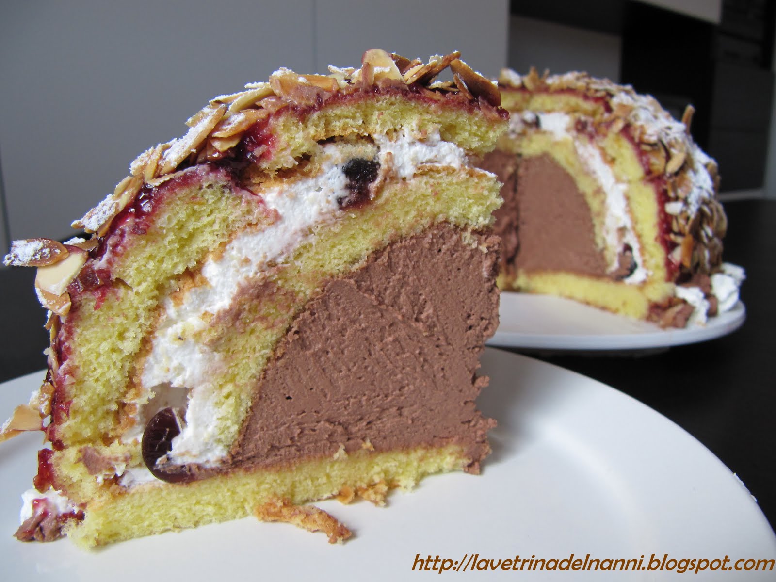 La vetrina del Nanni: Zuccotto del Nanni