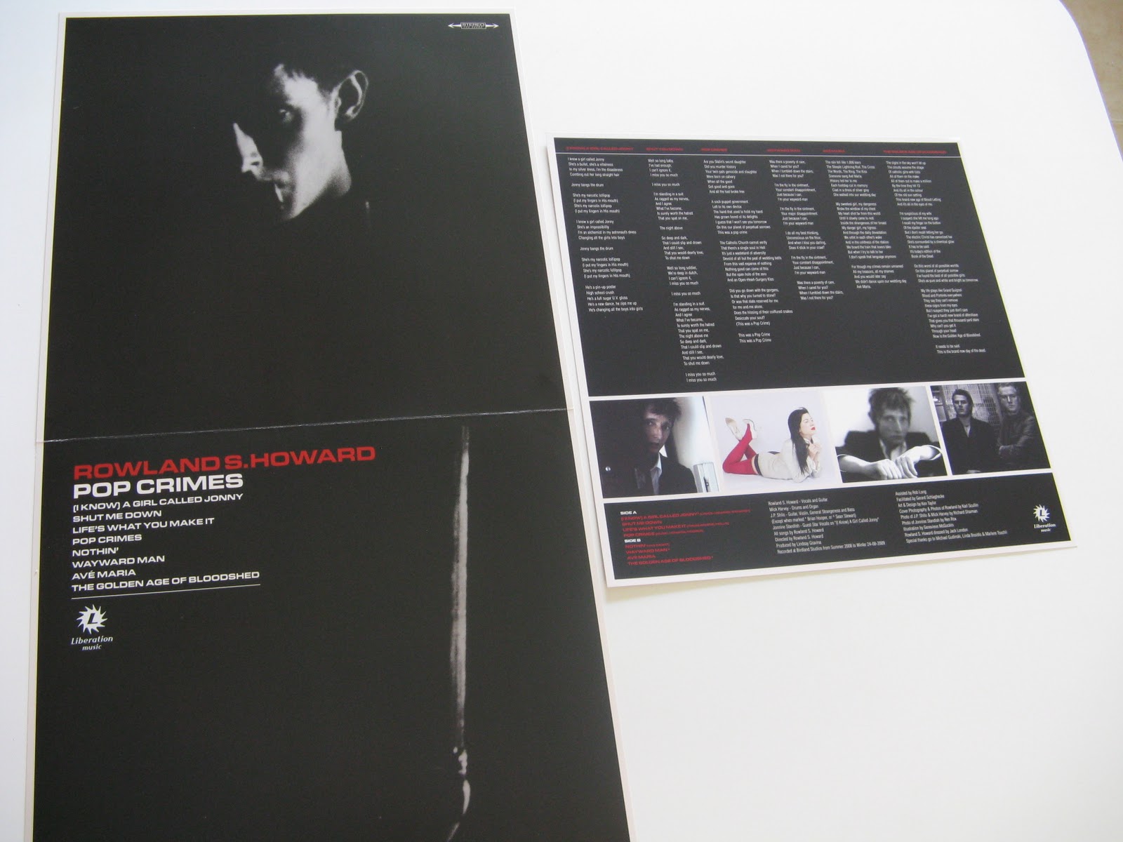 Vinyl Abuse: Rowland S. Howard - Pop Crimes