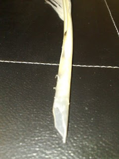 YK's Sofer Blog - Jewish Scribe: The Story of the Kulmus