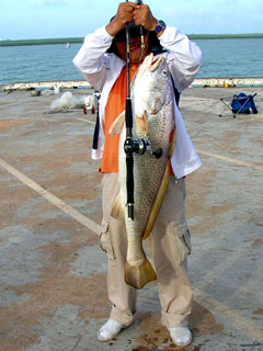 SECRET BARRAMUNDI by Hiro Nakamura: JewfishLand basedRainy season