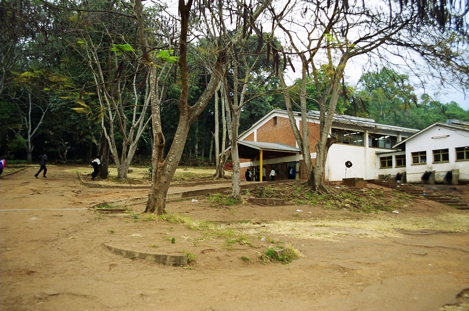 Malosa (Malawi) - Alchetron, The Free Social Encyclopedia