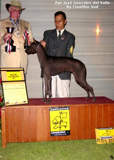 HUALLALLO CARHUANCHO