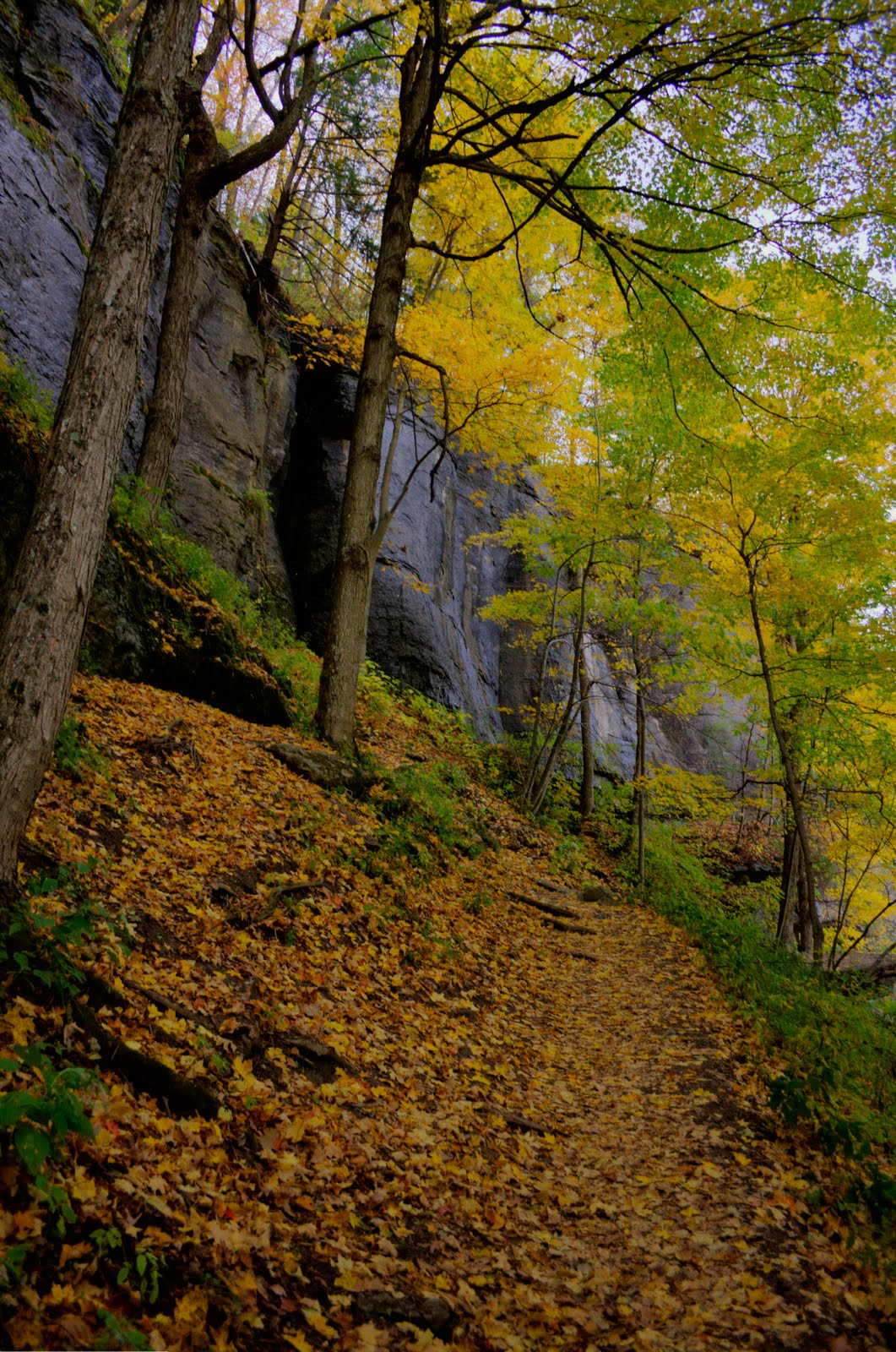 A Day In the Life Of: Thacher Park - Indian Ladder Trails, Albany, NY