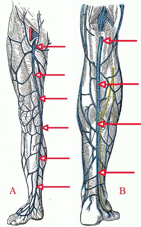 Erfolgreich gegen Krampfader, Besenreiser und Co.: Die fünf ...