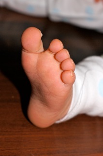 The Chronicles of Ellie Bellie Bear: Down Syndrome Footprint