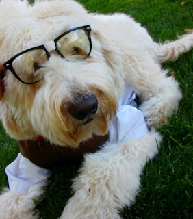 {partners in crime}: Howl-O-Ween Doodle Costumes!