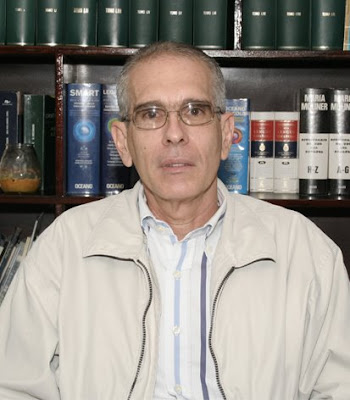 Consolidación democrática - Salvadoreños en el Mundo