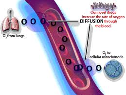 Lungs Diffusion.swf / difusi paru-paru | Kreatifa Media