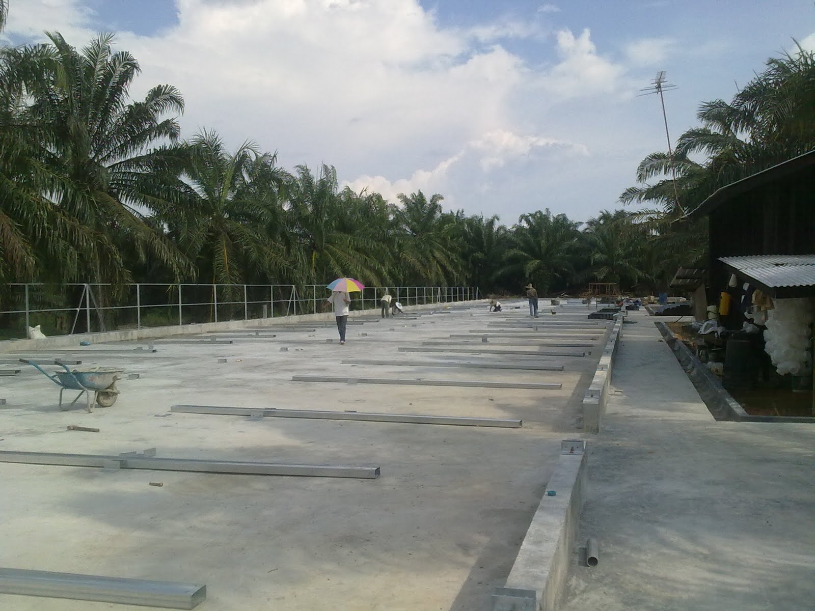 Design Reban Baru | Maria Firdaus