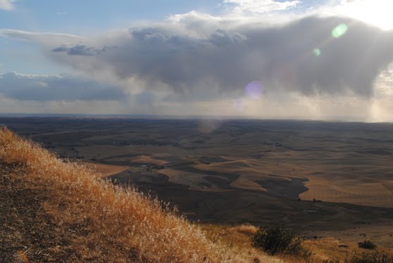 Katie's Meanderings: Northern Idaho and the Palouse in Washington State