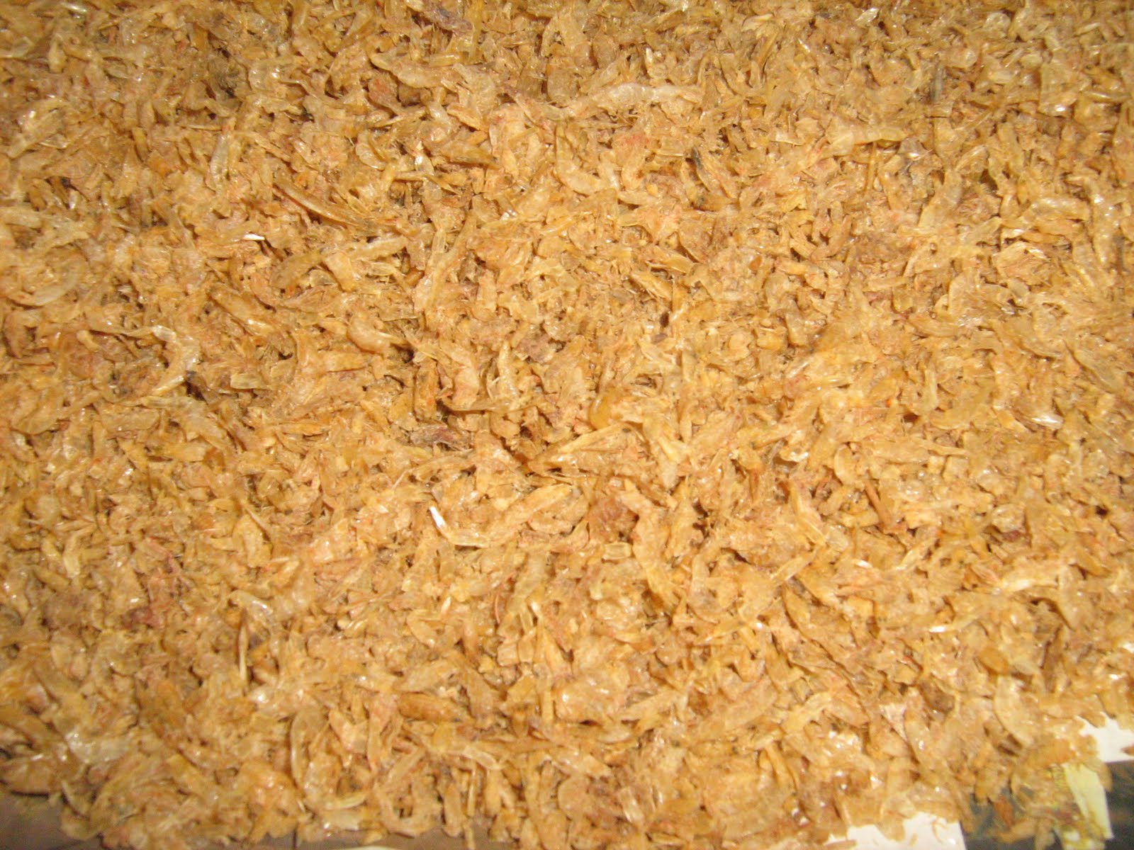 Mini's Kitchen: Prawn Chutney Powder