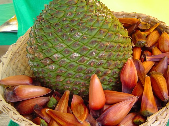 O sabor do tempo - Casas Possíveis