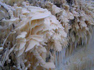 Eestis tavaline: Valaste juga talvel (2008)