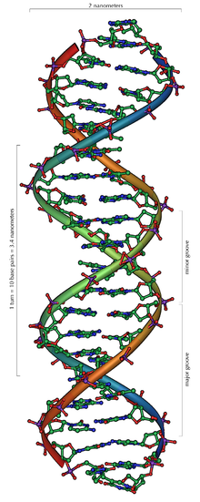 ALUNOS DA CIÊNCIA BIOGRAFIA: DNA E RNA